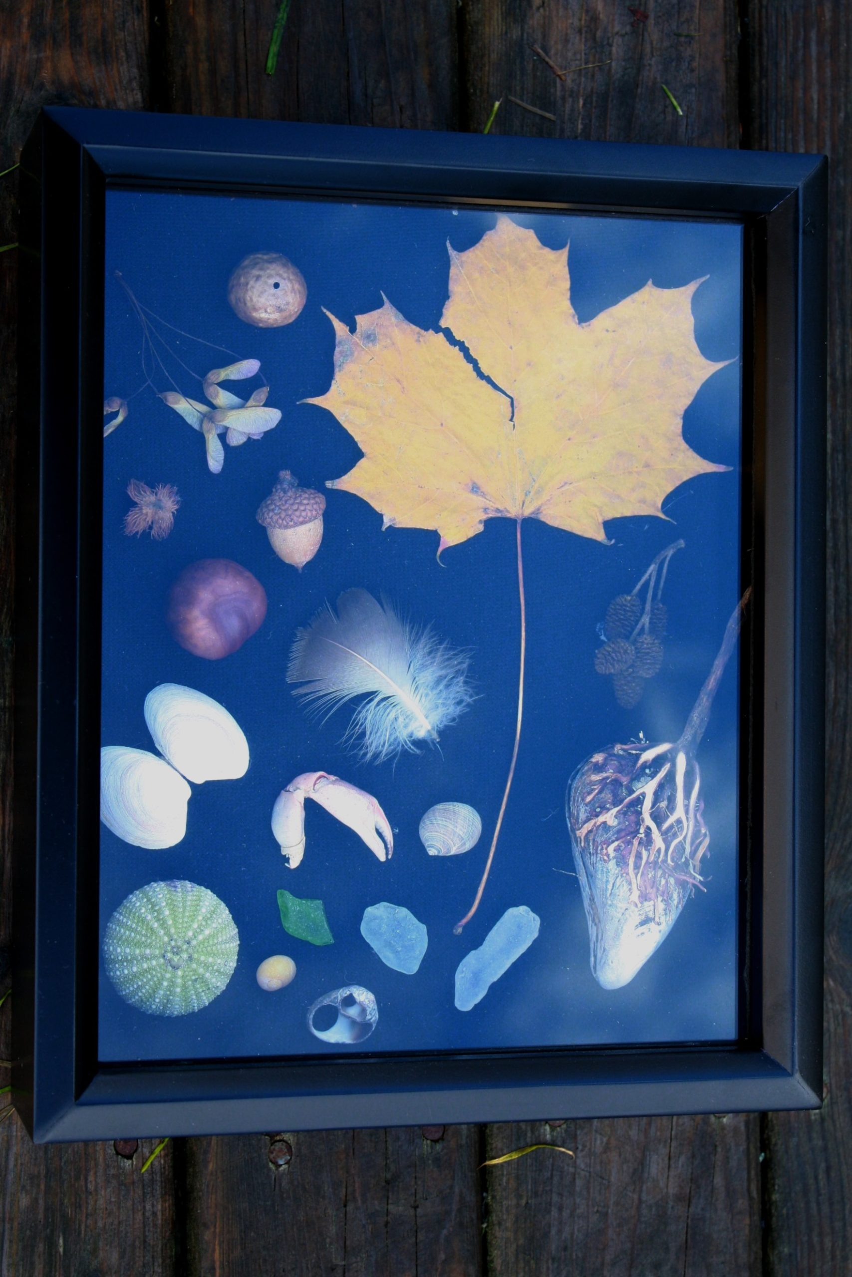 A Fun Project Idea: Making Shadow Boxes | Frame USA